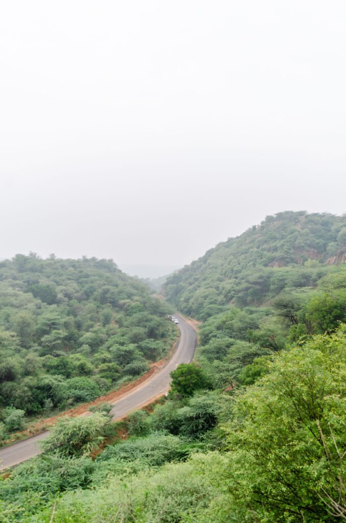 About Us – aravalligreenwall